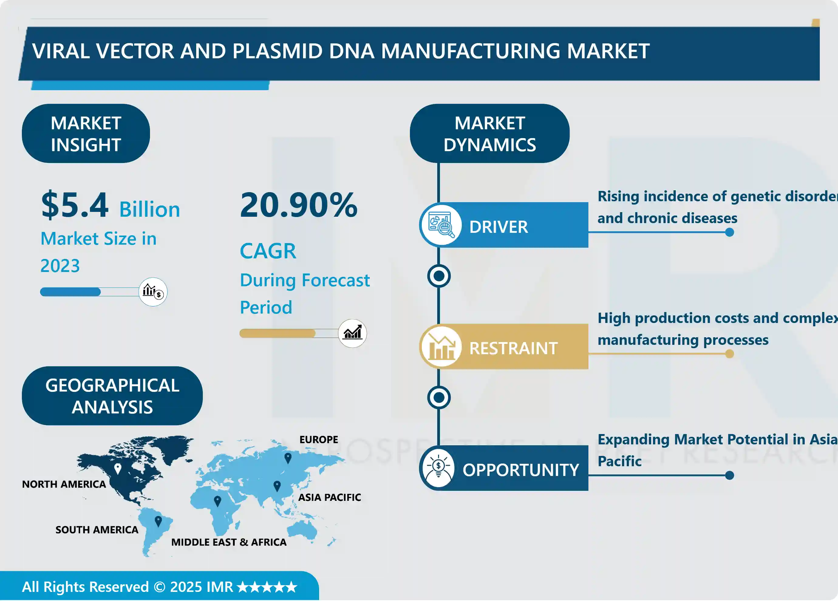 Viral Vector and Plasmid DNA Manufacturing Market Size and Share Trends ...
