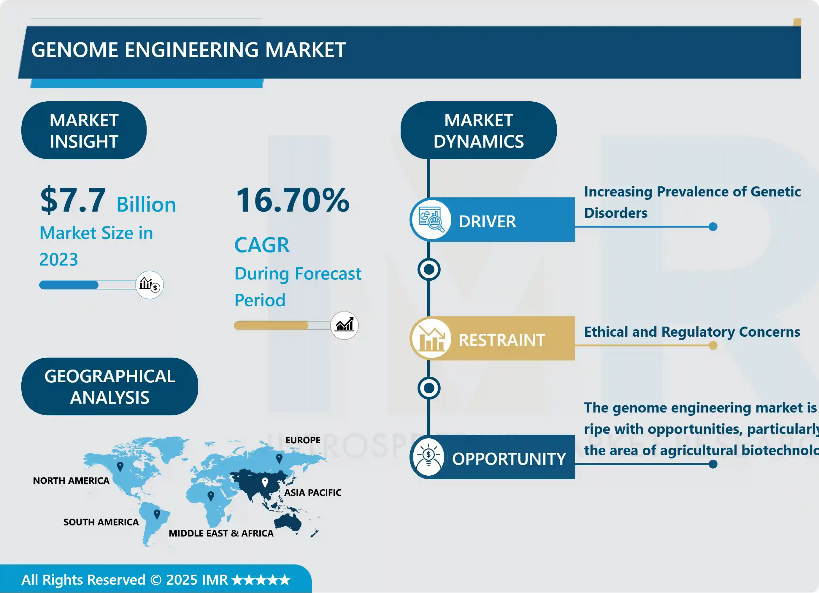 Genome Engineering Market Outlook: Growth and Insights