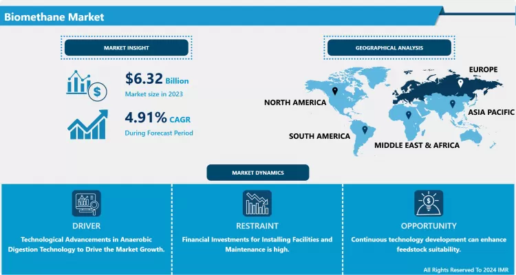 Global Biomethane Market Growth and Industry Analysis