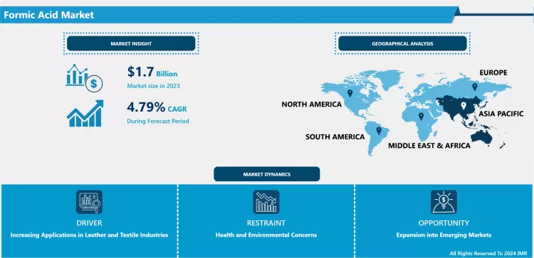 Formic Acid Market Size: In-Depth Analysis