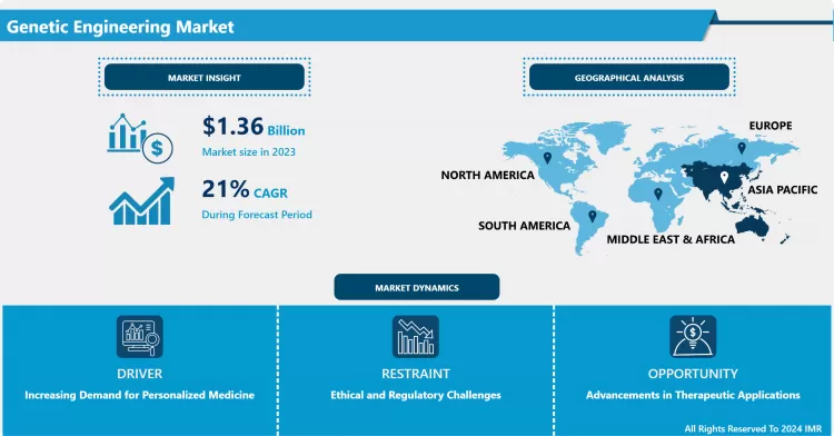Genetic Engineering Market Outlook: Growth and Insights
