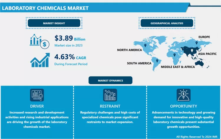 Laboratory Chemicals Market Outlook: Growth and Insights